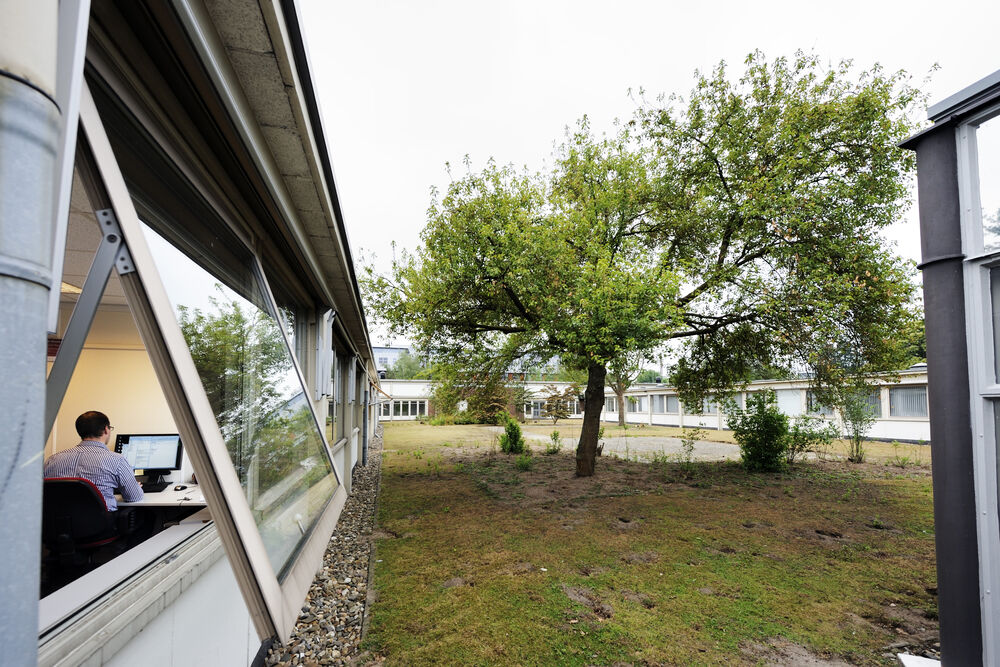 The Paradox of the Paviljoen
